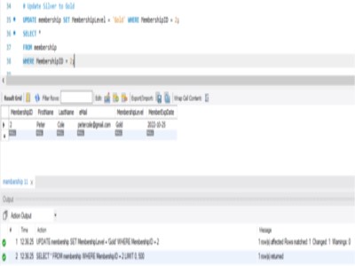 Data Analyst Portfolio